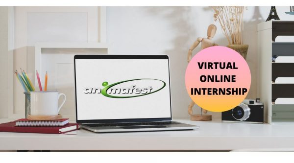 Animafest Experience Your internship in the best destinations