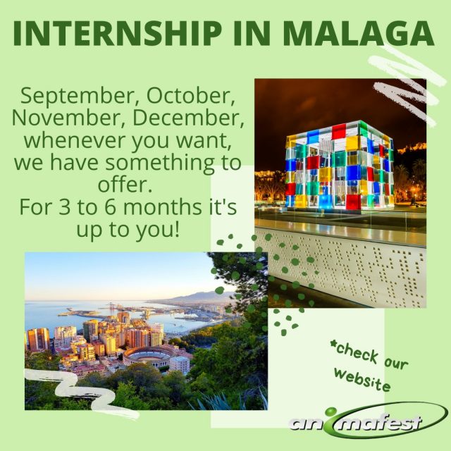Erasmus internship Spain Malaga 2021