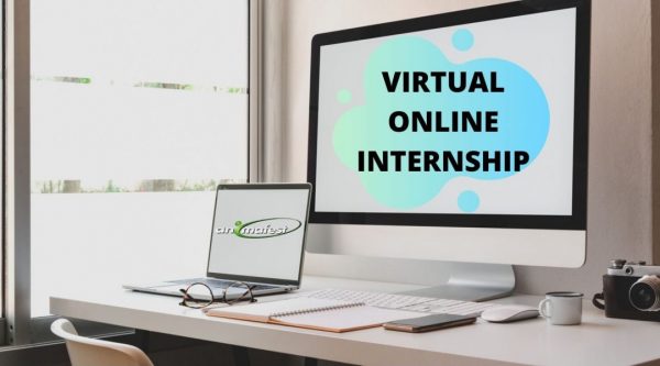 Animafest Experience Your internship in the best destinations