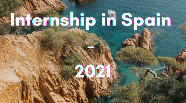 Animafest Experience Your internship in the best destinations