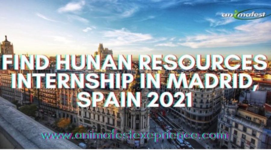 Animafest Experience Your internship in the best destinations