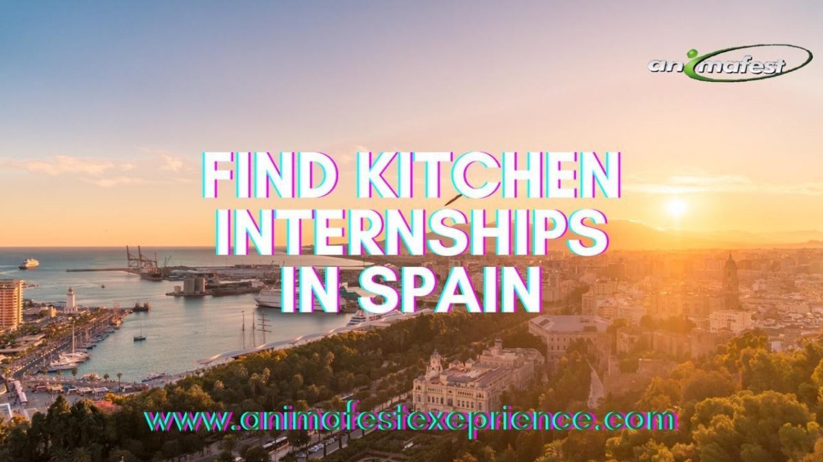 FIND KITCHEN INTERNSHIP IN SPAIN, 2021
