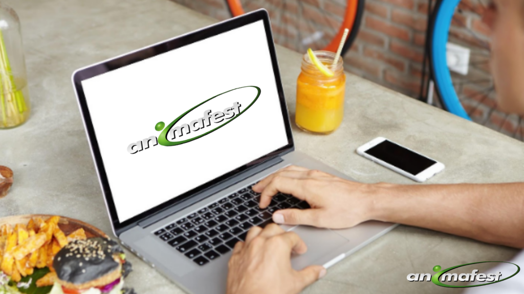 Remote internship experience in Spain with Animafest : 5 reasons