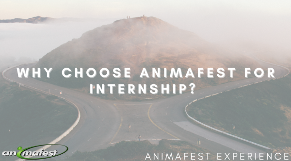 Internships and Internships | THE BEST DESTINATIONS | Animafest