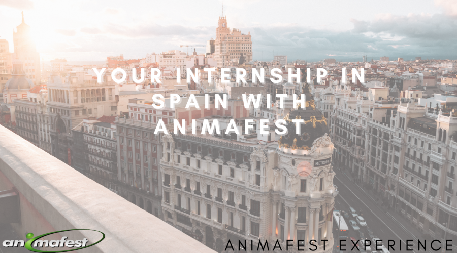 Internships and Internships | THE BEST DESTINATIONS | Animafest