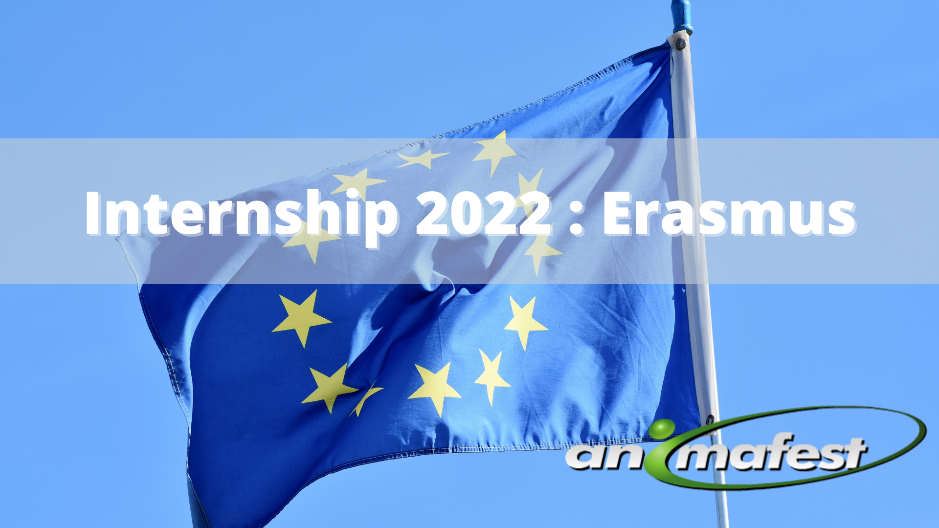 Internship 2022 : Erasmus