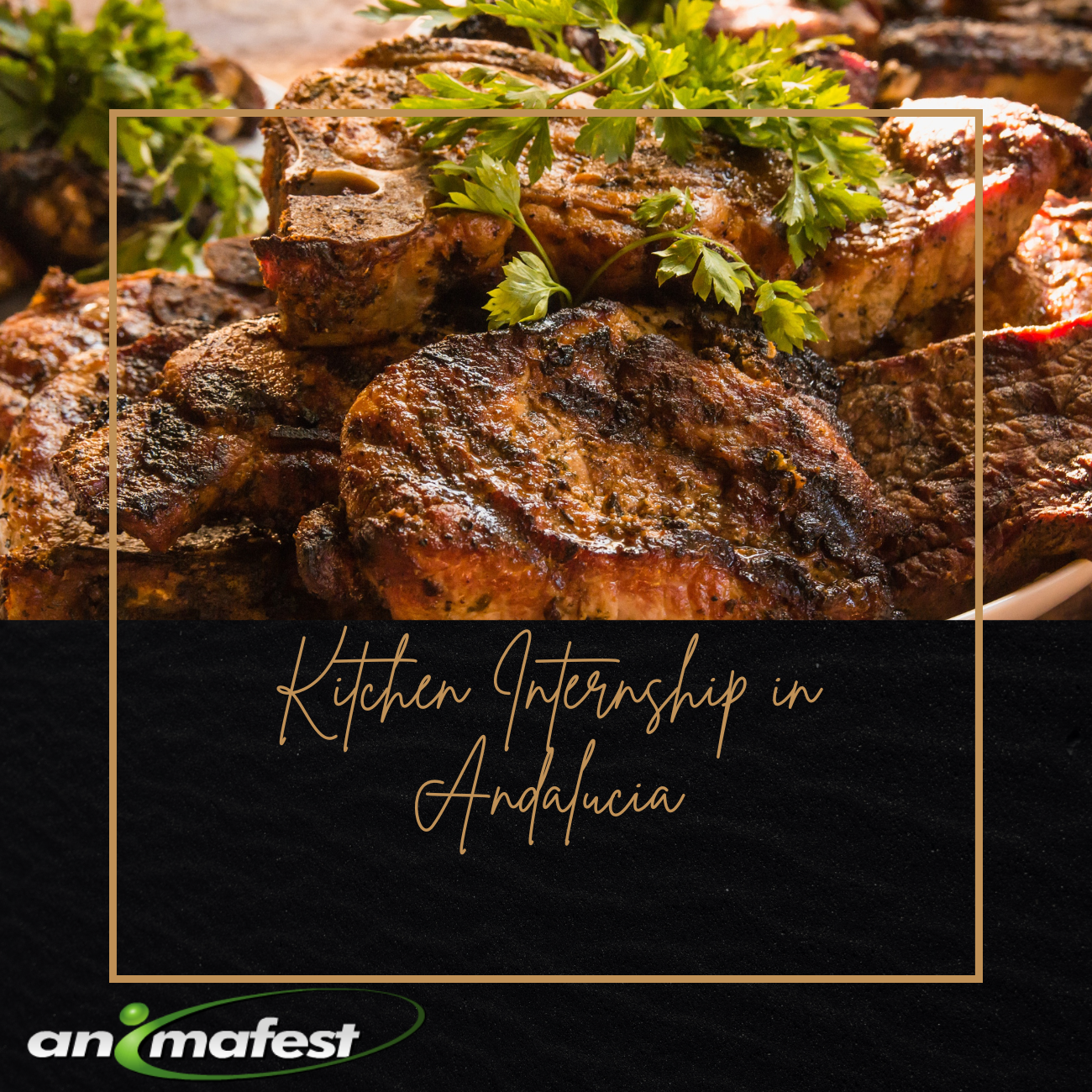Kitchen Internship in Andalucia with Animafest Experience