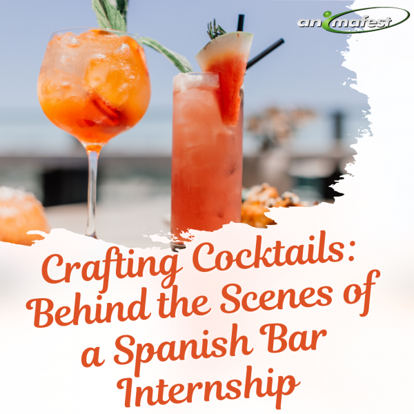 Crafting Cocktails: Behind the Scenes of a Spanish Bar Internship