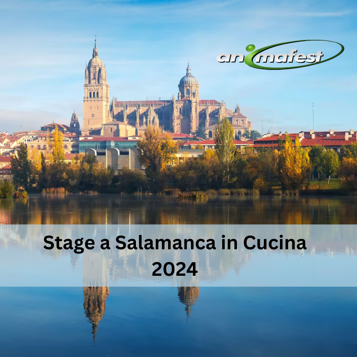 Stage a Salamanca in Cucina 2024