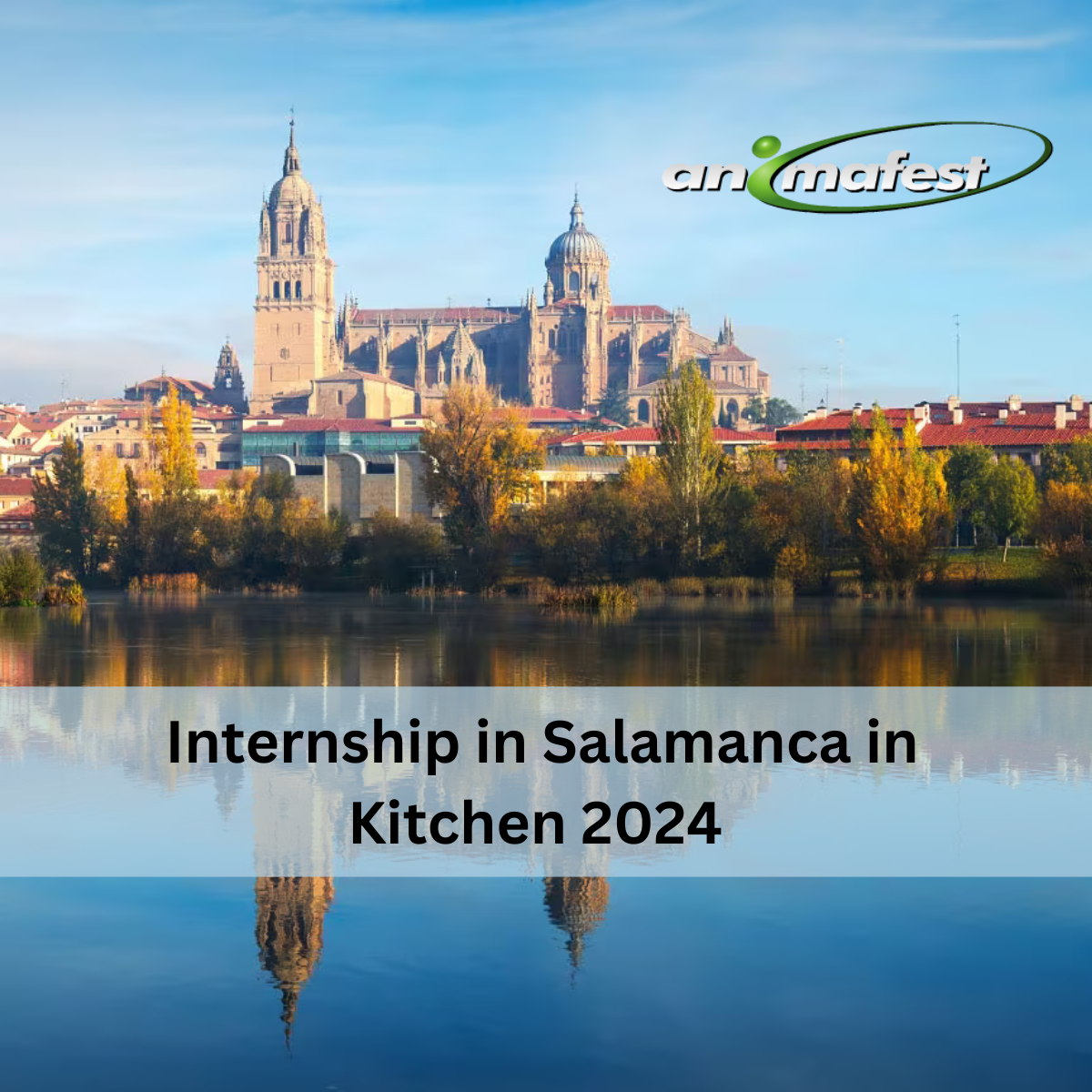 Internship in Salamanca in Kitchen 2024