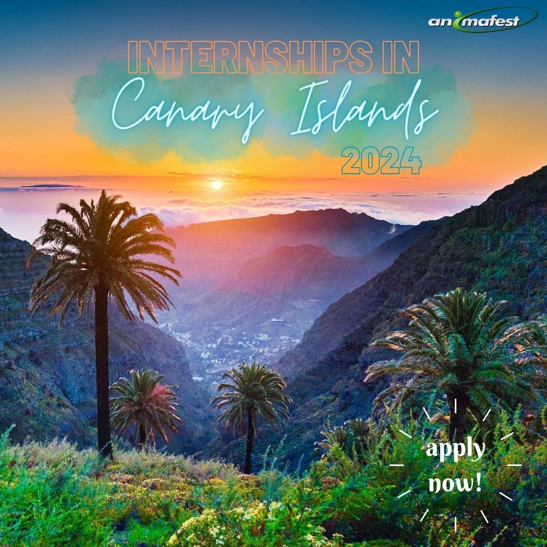 Internships in the Canary Islands 2024