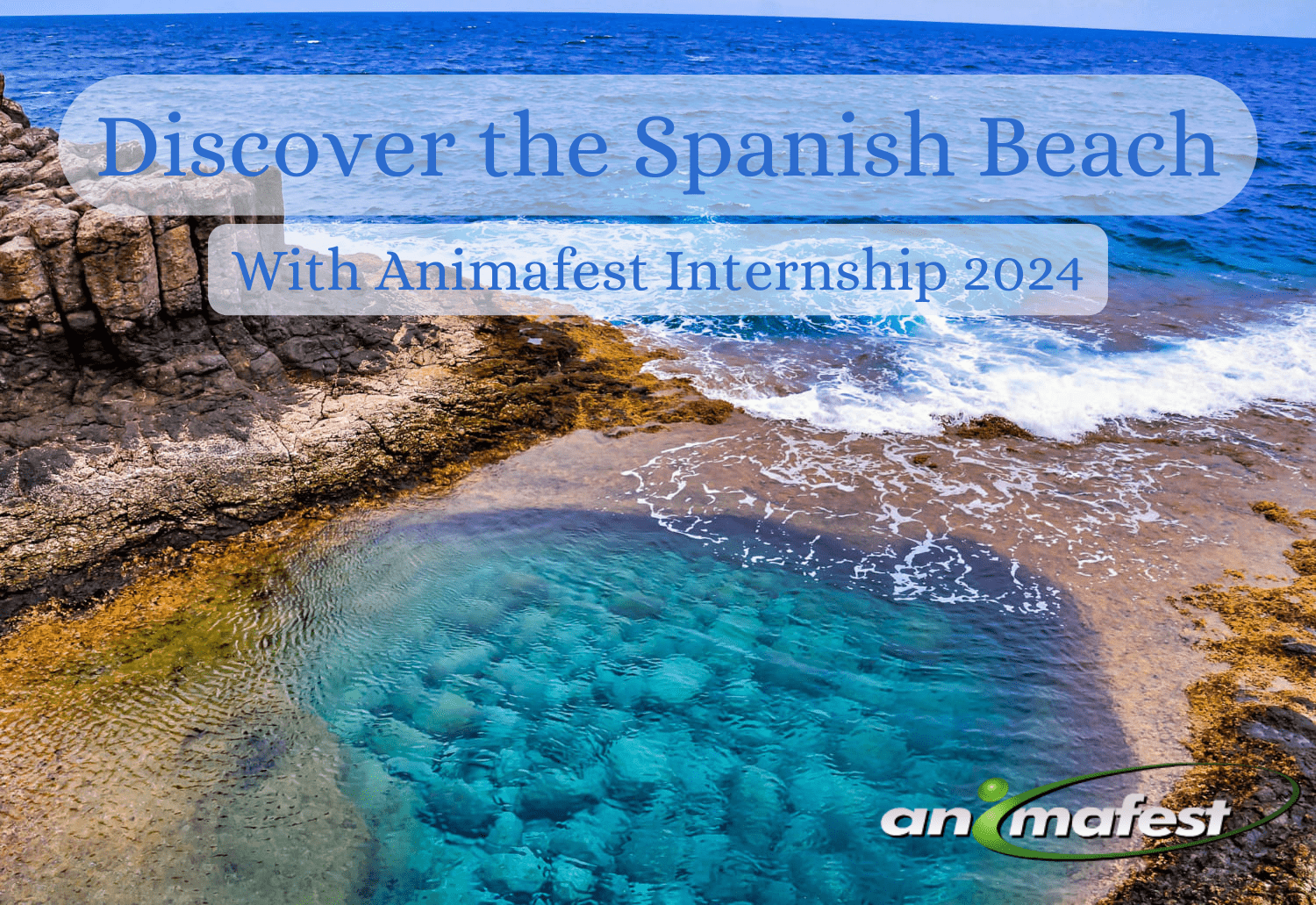 With internship of Animafest explore the beaches of Spain 2024