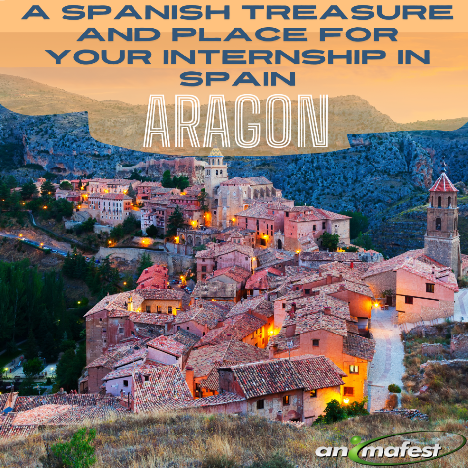 Aragon: A Spanish Treasure and place for your internship in Spain
